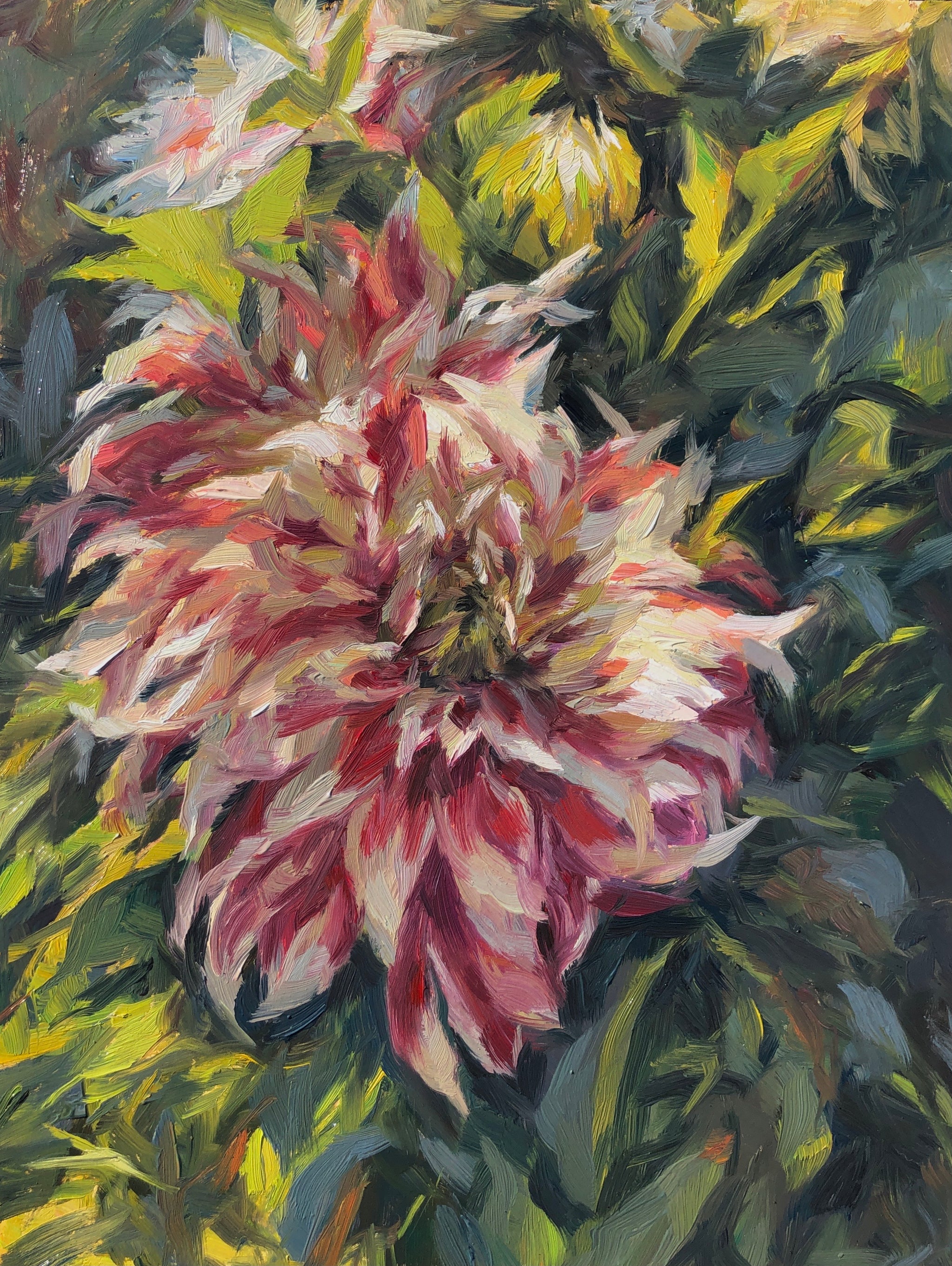 dahlia flower artwork